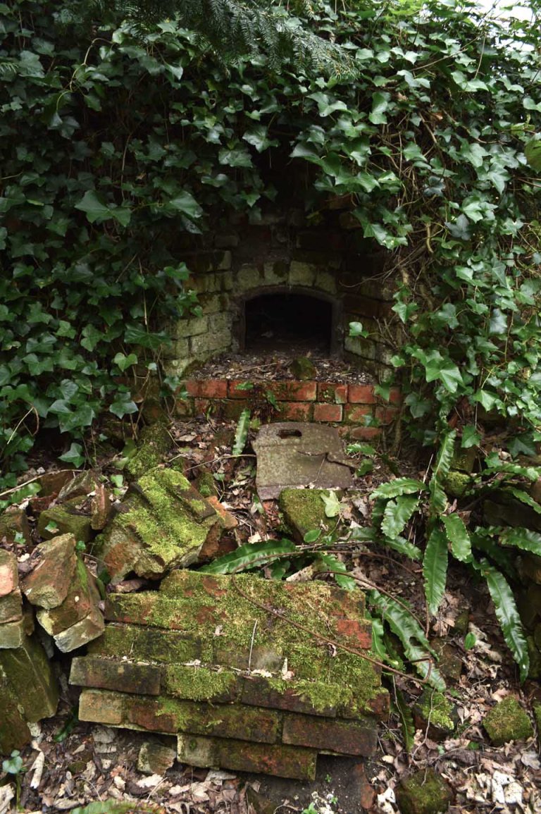 A Year at Warley Place Pt. II: The Story – The Event Gardener