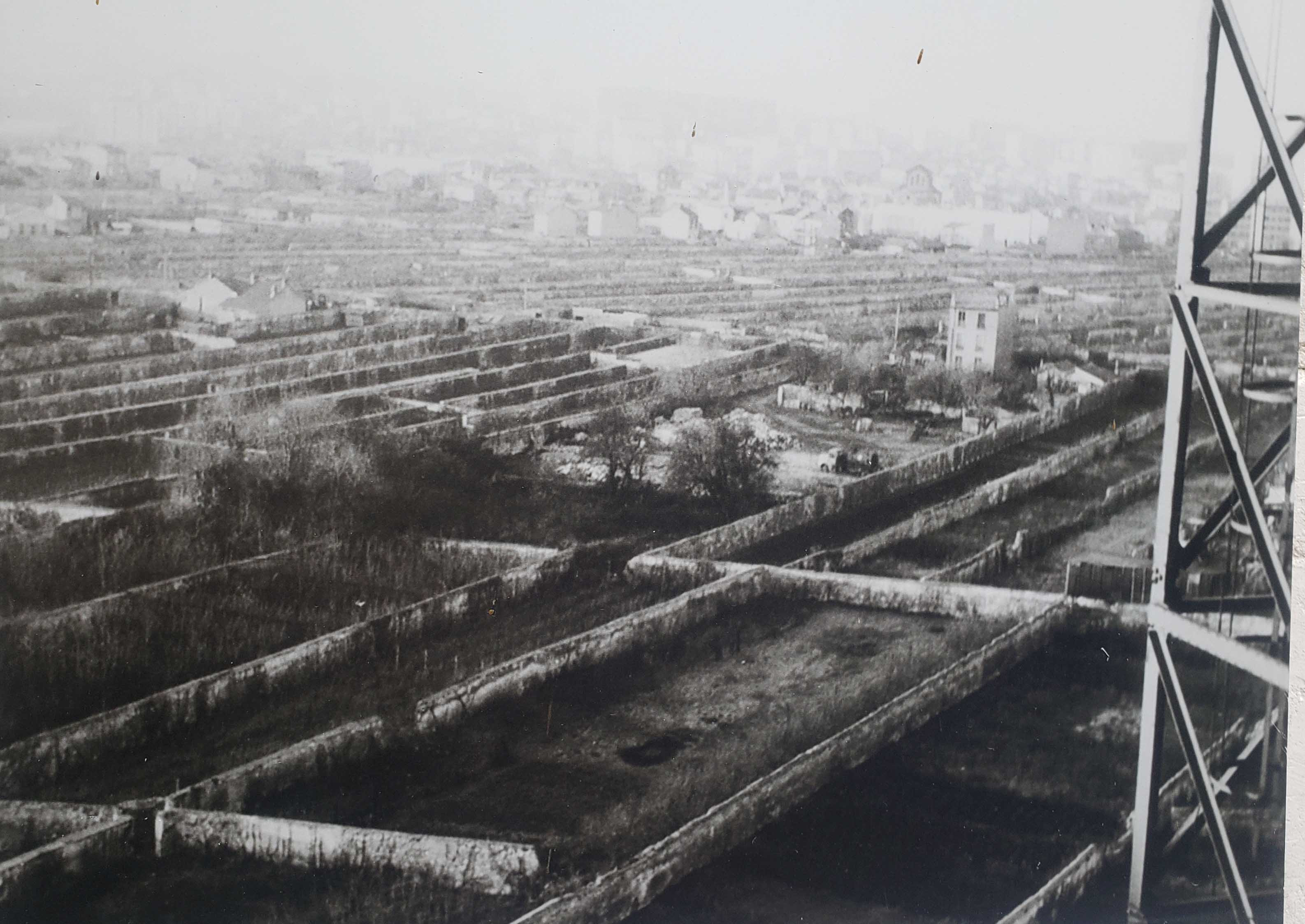 Les Murs à Pêches – The Event Gardener